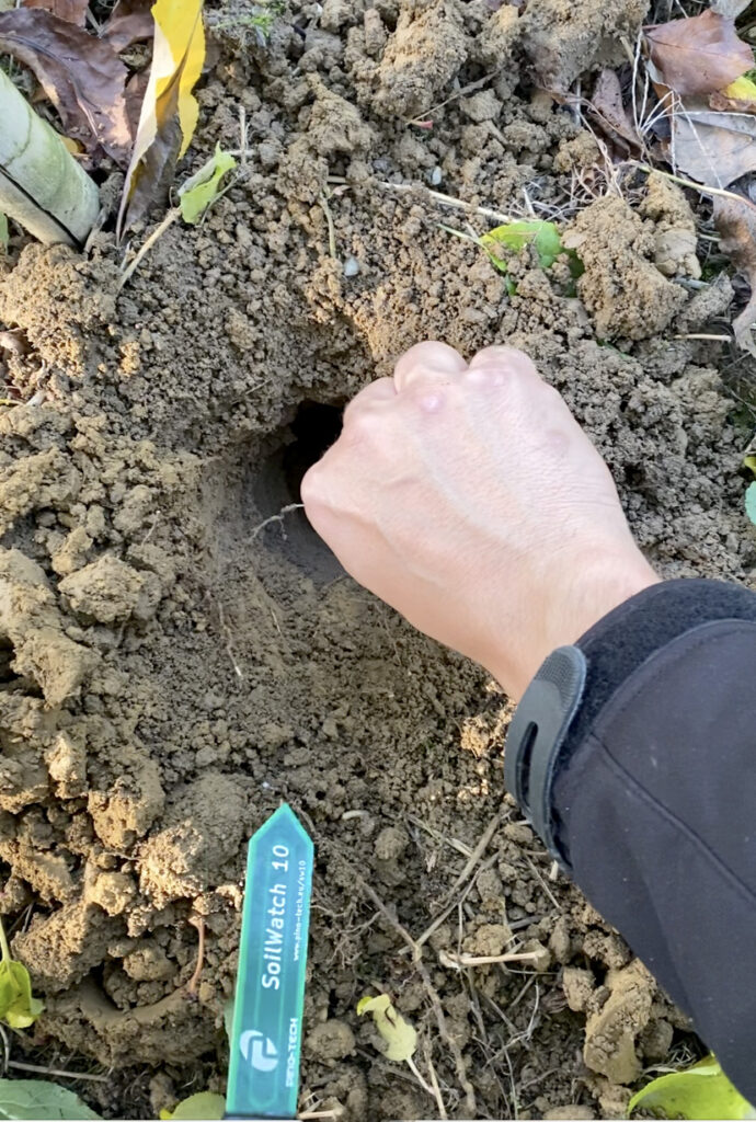 DEMETER Project | Senzemo